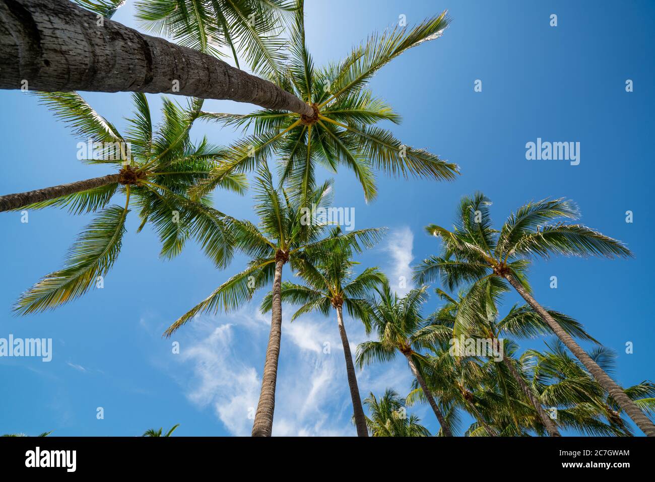 Bugs eye view hi-res stock photography and images - Alamy