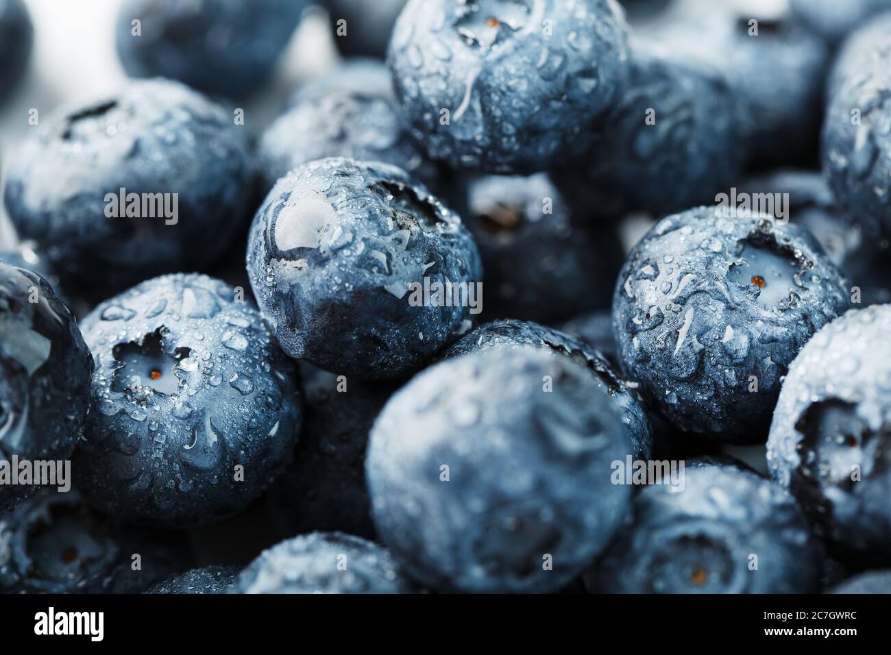 Blueberries close-up in full screen with dew drops Stock Photo - Alamy