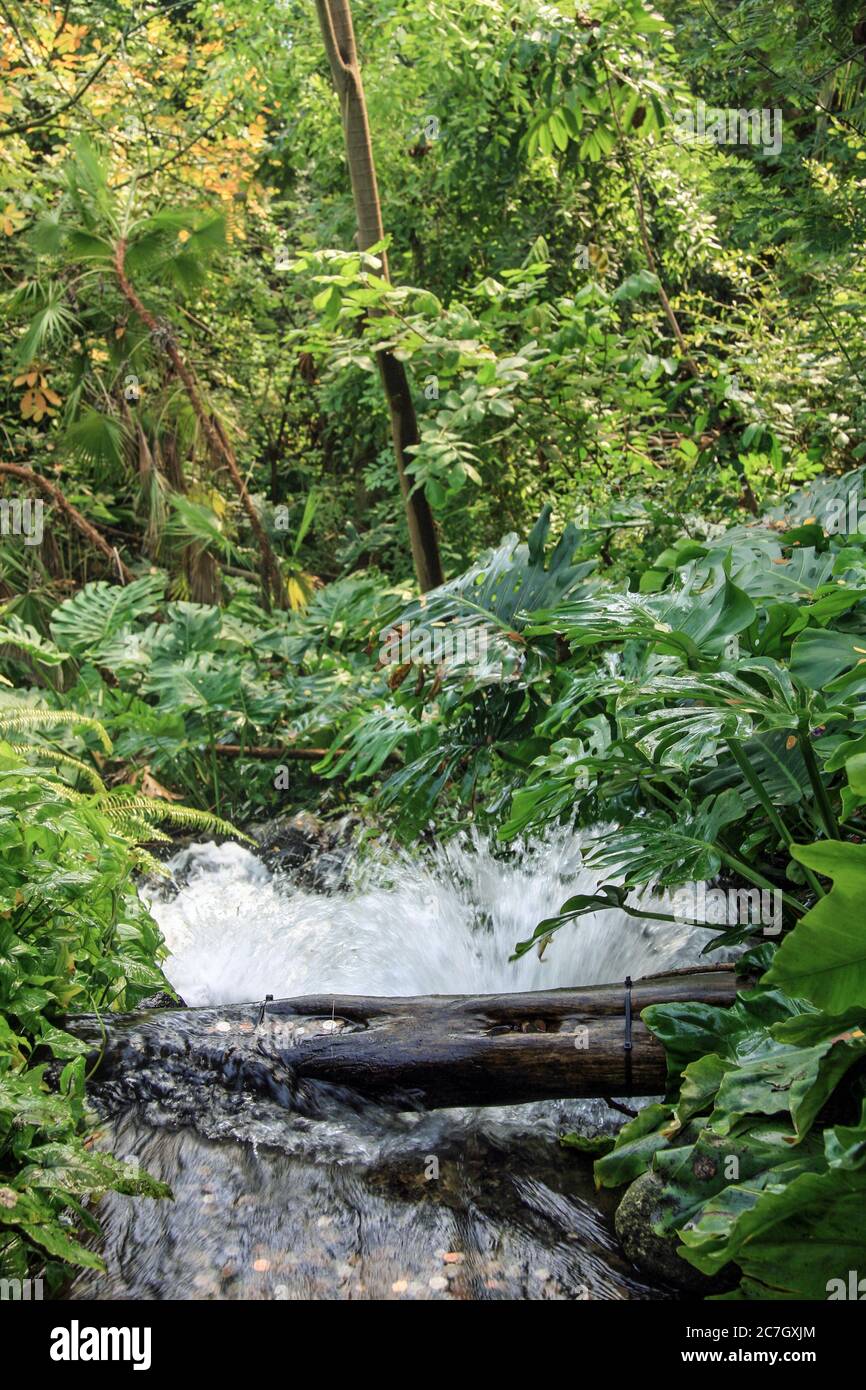 Visitors chance their luck with money thrown into a waterfall in the ...