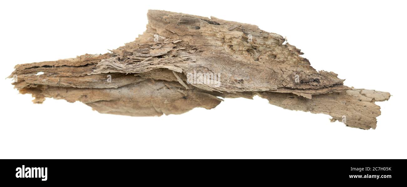 Old rotten brown wood Cut Out Stock Images & Pictures - Alamy