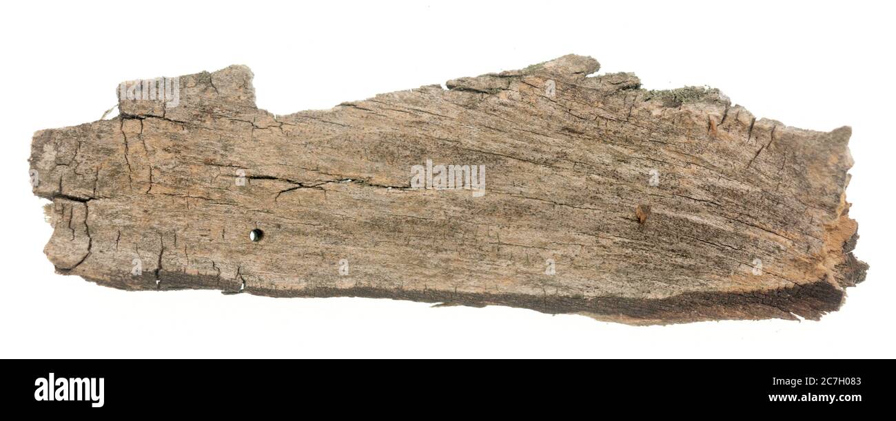 Rotten wood isolated on white background Stock Photo - Alamy