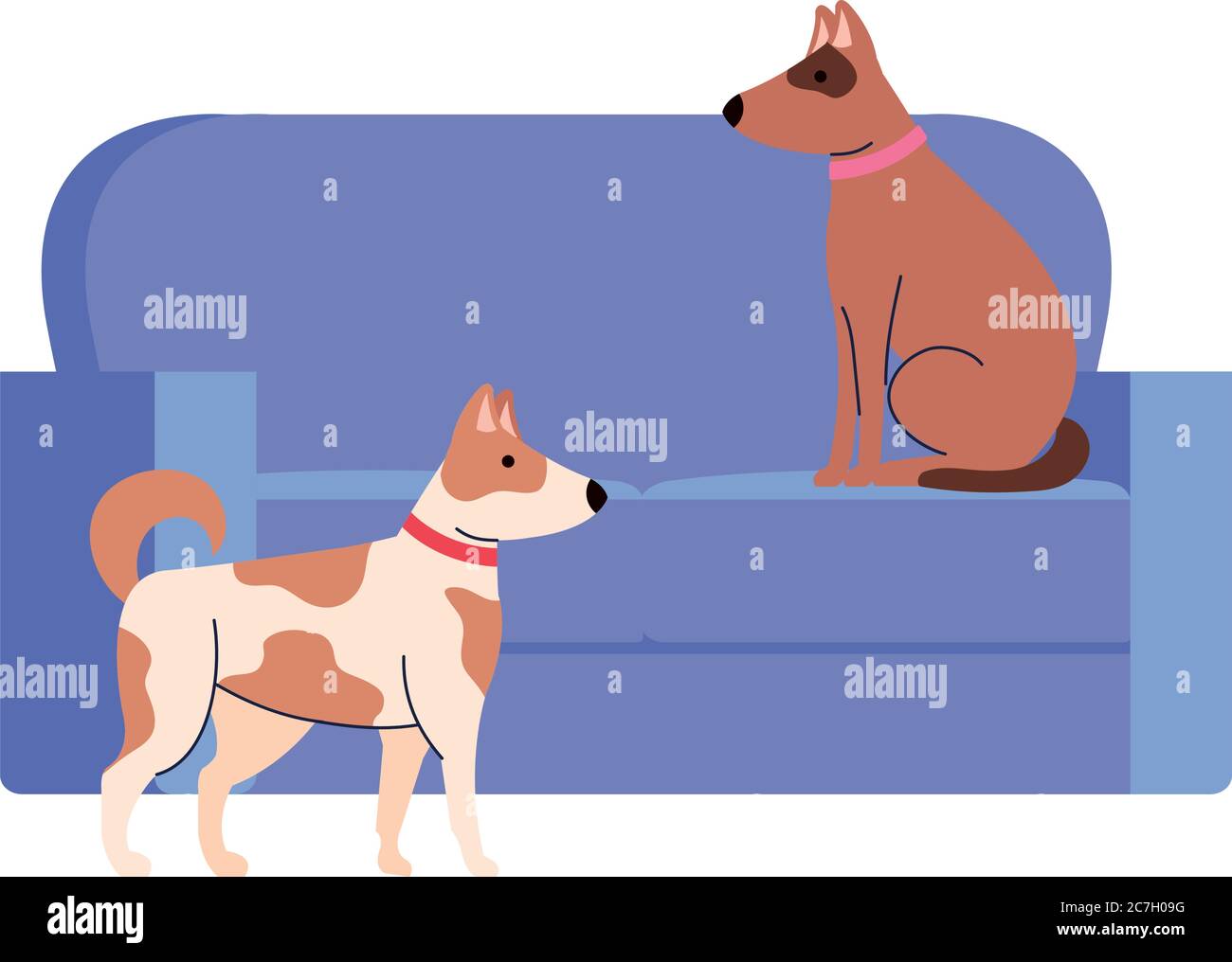 cute dogs pets on couch, in white background Stock Vector Image & Art ...