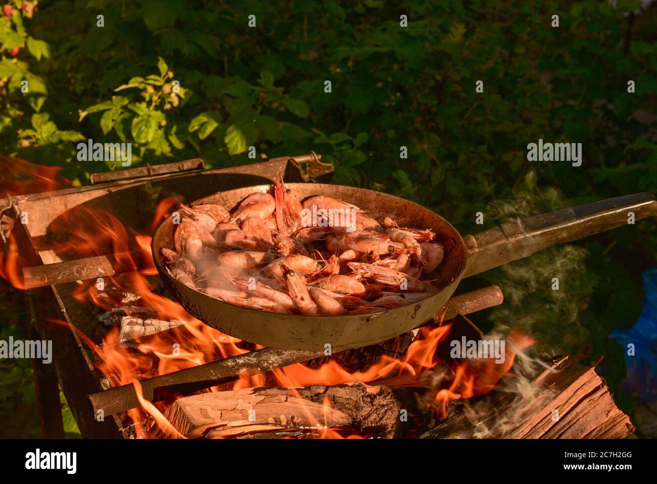 shrimp. Shrimps are cooked in a pan over a fire. Bonfire seafood Stock ...