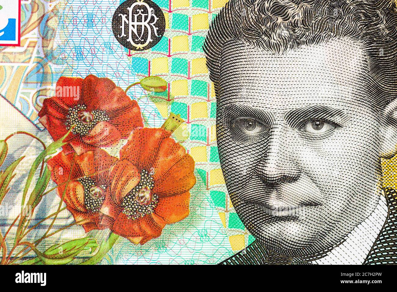 Selective focus on detail of lei banknotes. Close up macro detail of ...