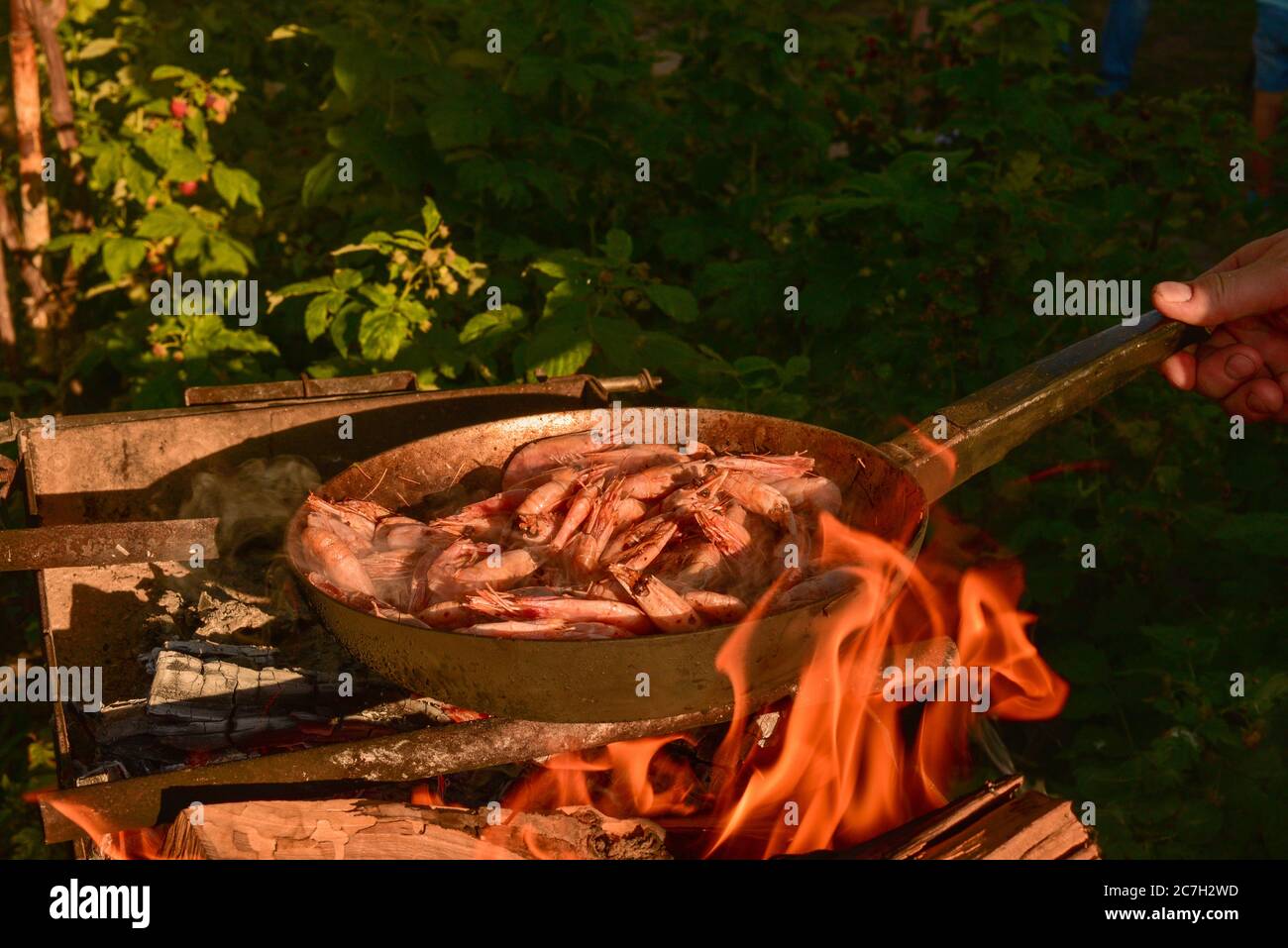 shrimp. Shrimps are cooked in a pan over a fire. Bonfire seafood Stock ...