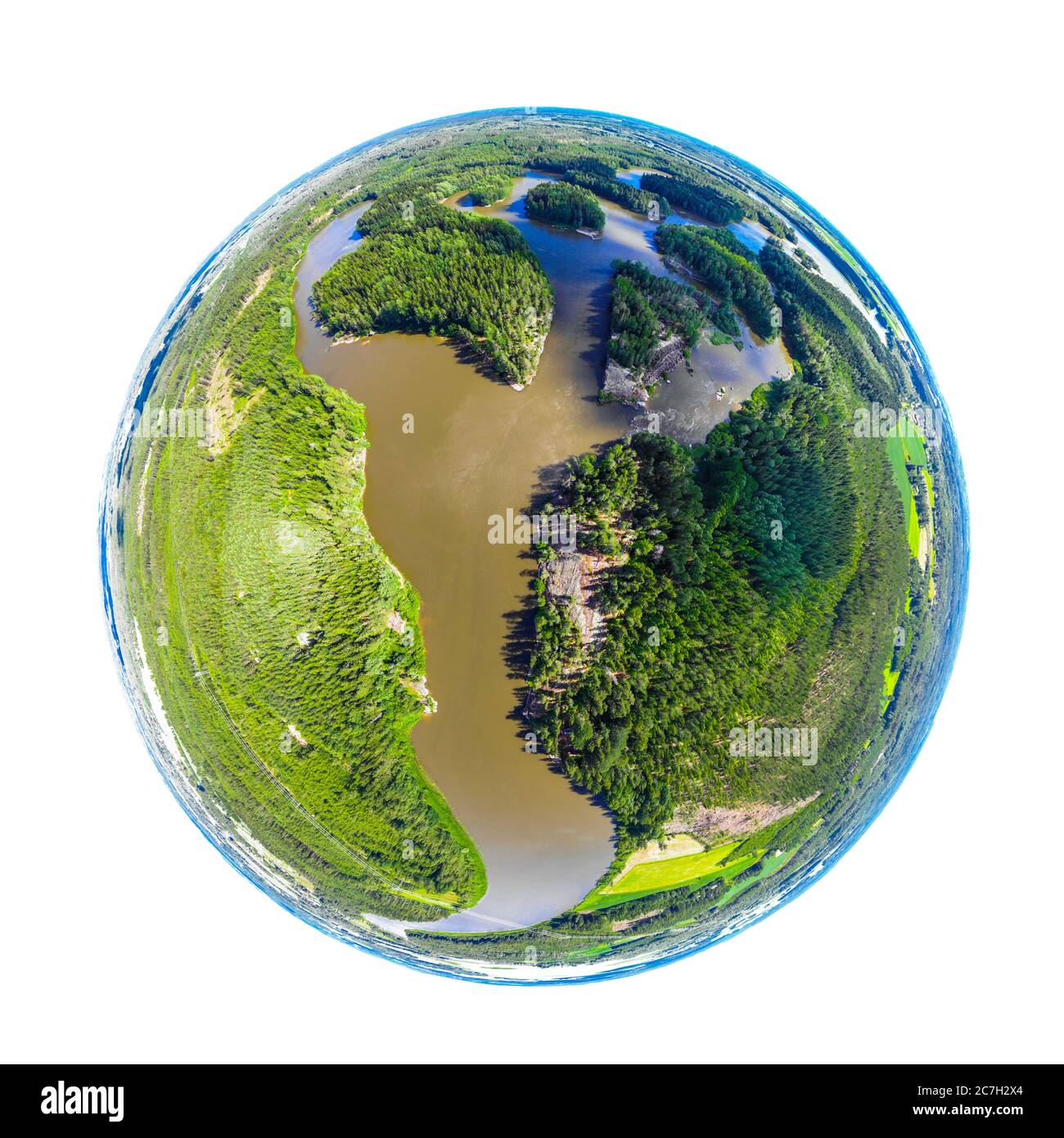 Panoramic view sunny forest Cut Out Stock Images & Pictures - Alamy