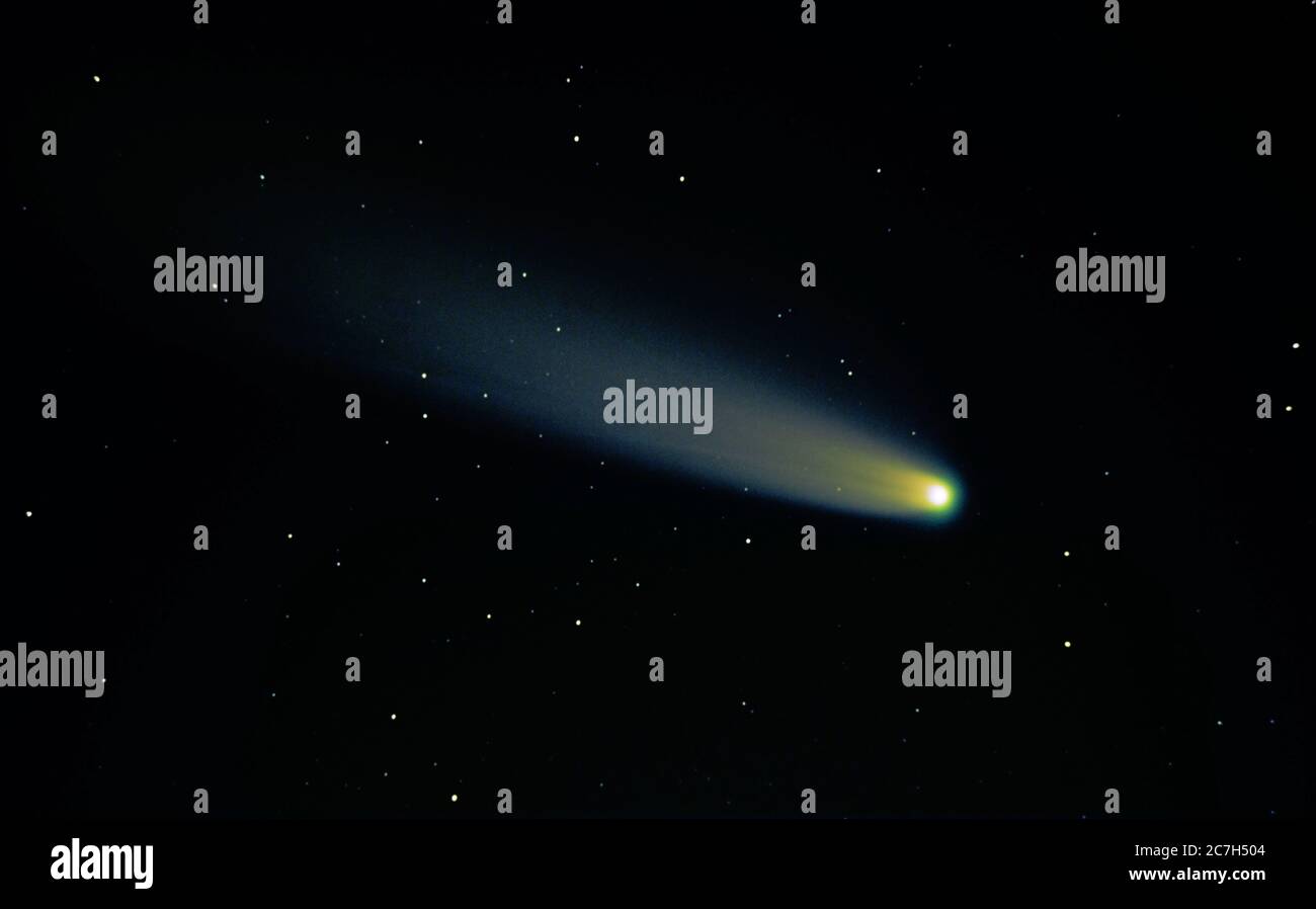 Golden comet hi-res stock photography and images - Alamy