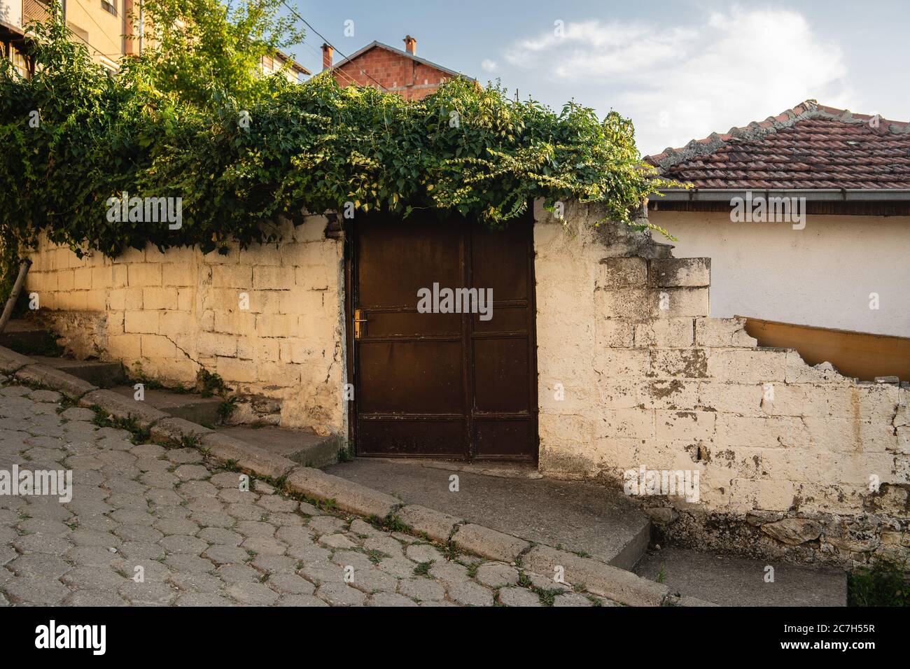 Old dirty wall on a sidewalk covered in greenery with buildings under ...