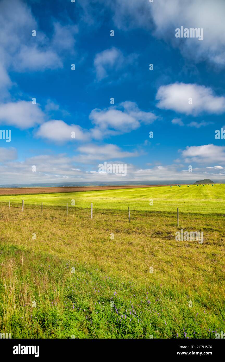 Beautiful countryside colors of Iceland in summer Stock Photo - Alamy