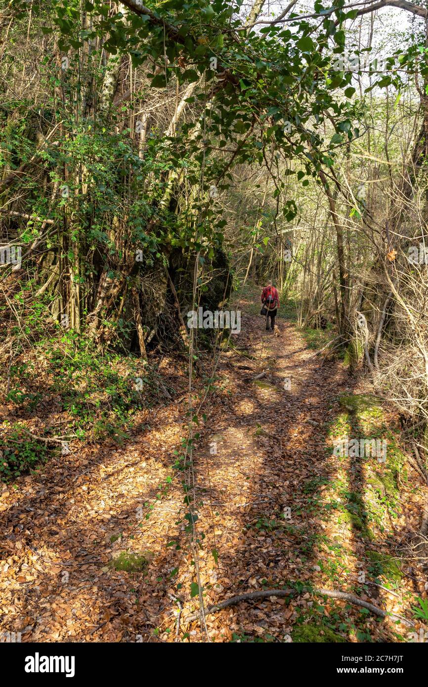 Europe, Spain, Catalonia, Girona Province, Garrotxa, Santa Pau, hikers ...