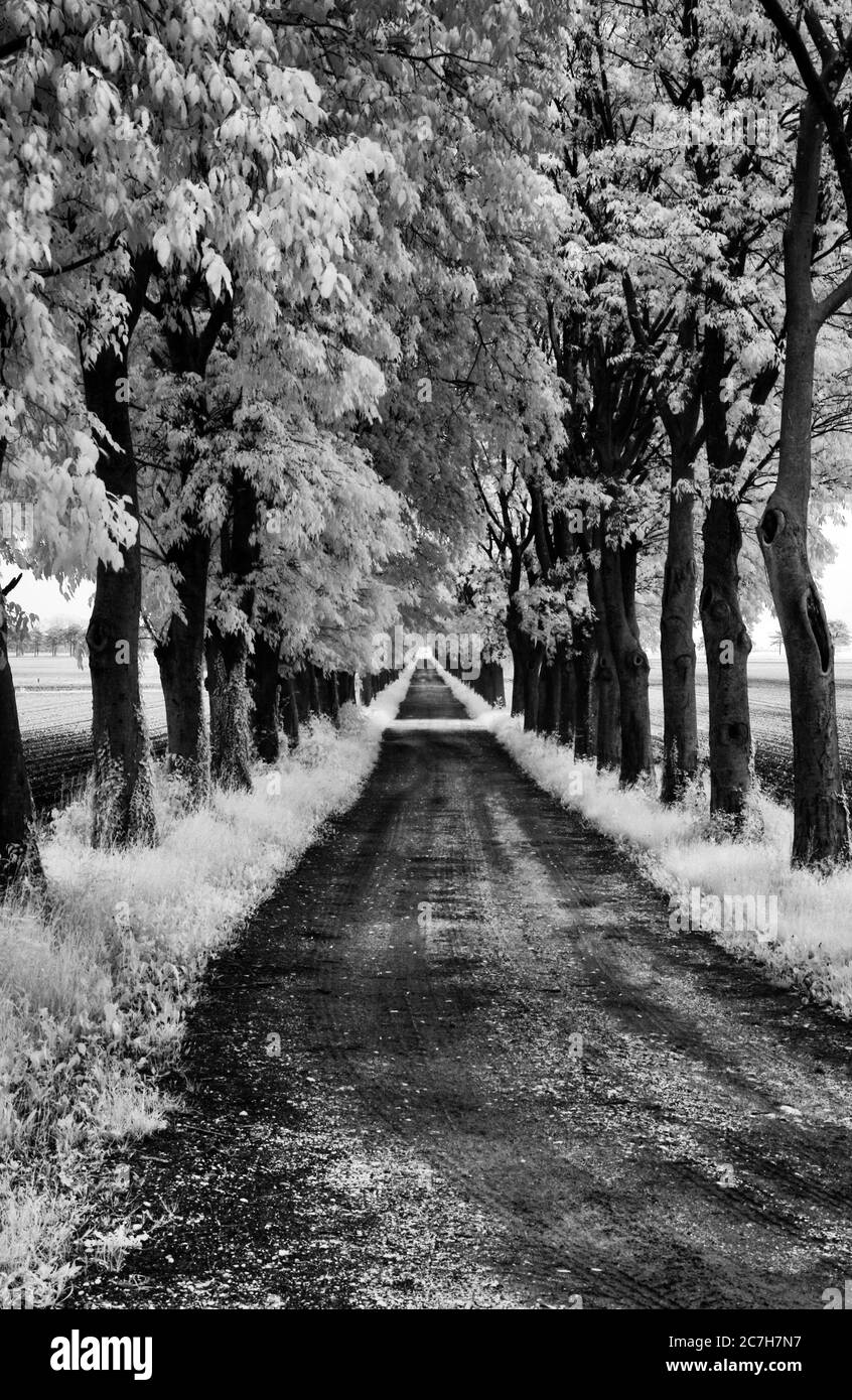 Infrared views of Cormons Stock Photo - Alamy