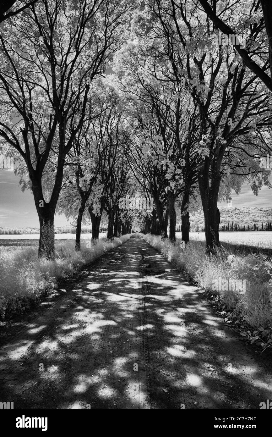 Infrared views of Cormons Stock Photo - Alamy