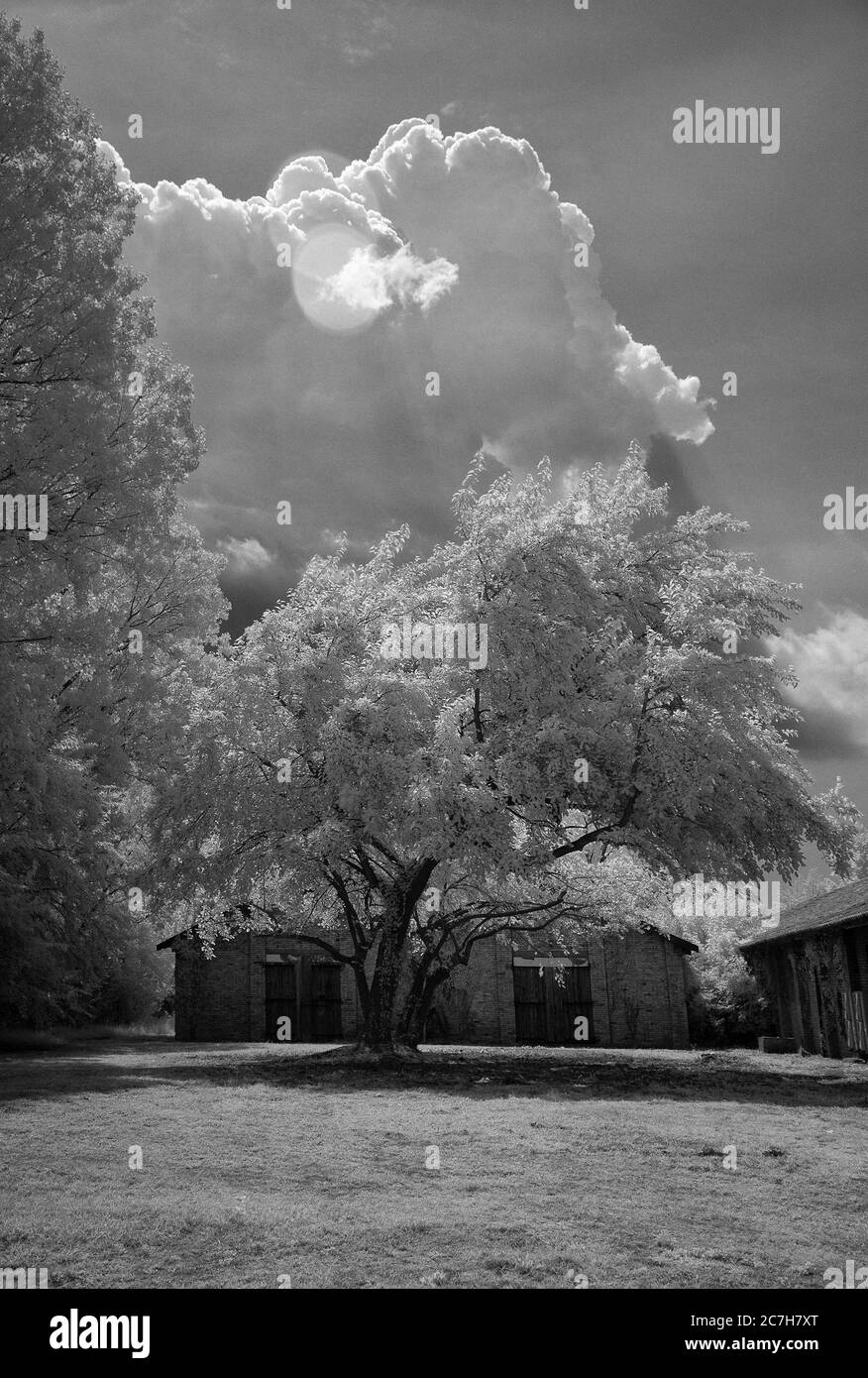 Infrared views of the Forte Marghera in Mestre, Venice Stock Photo - Alamy