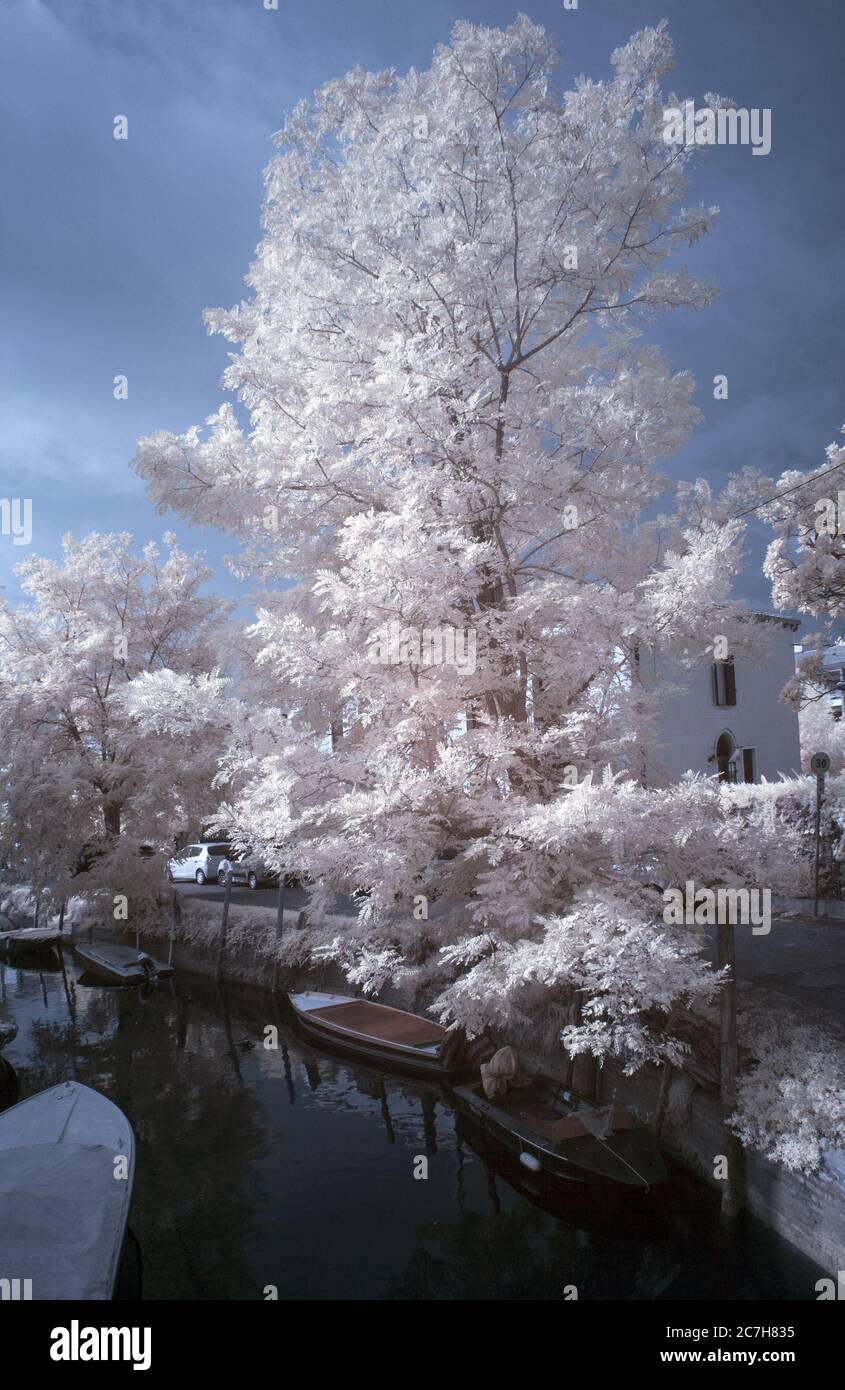 Infrared views of the Venice Lido Stock Photo - Alamy