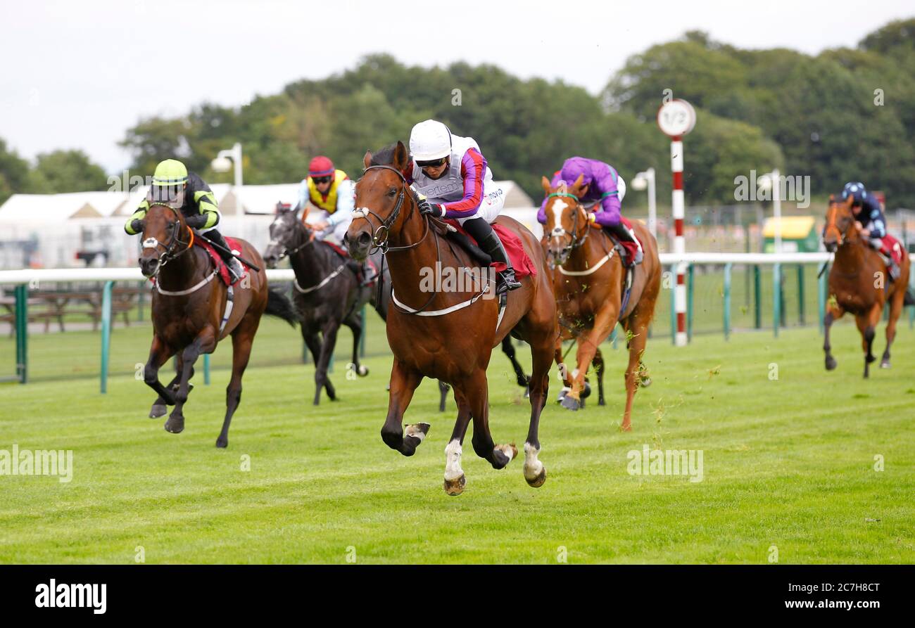 Megan nicholls hi-res stock photography and images - Alamy