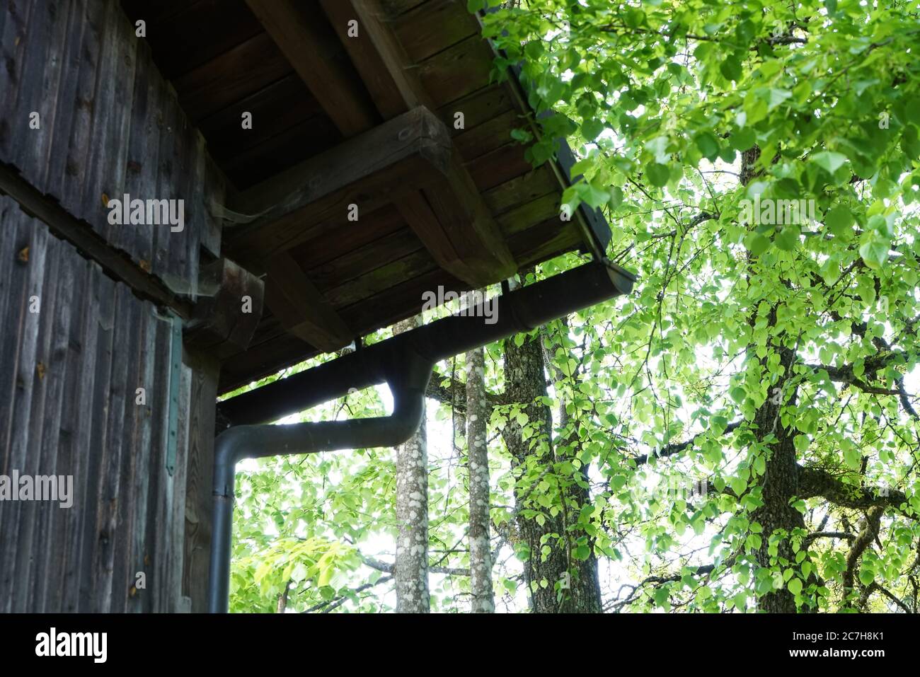 A wooden hut from a hunter and woodworker in the forest Stock Photo - Alamy