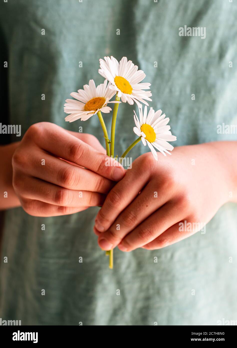 Childs hands holding flowers hi-res stock photography and images - Alamy