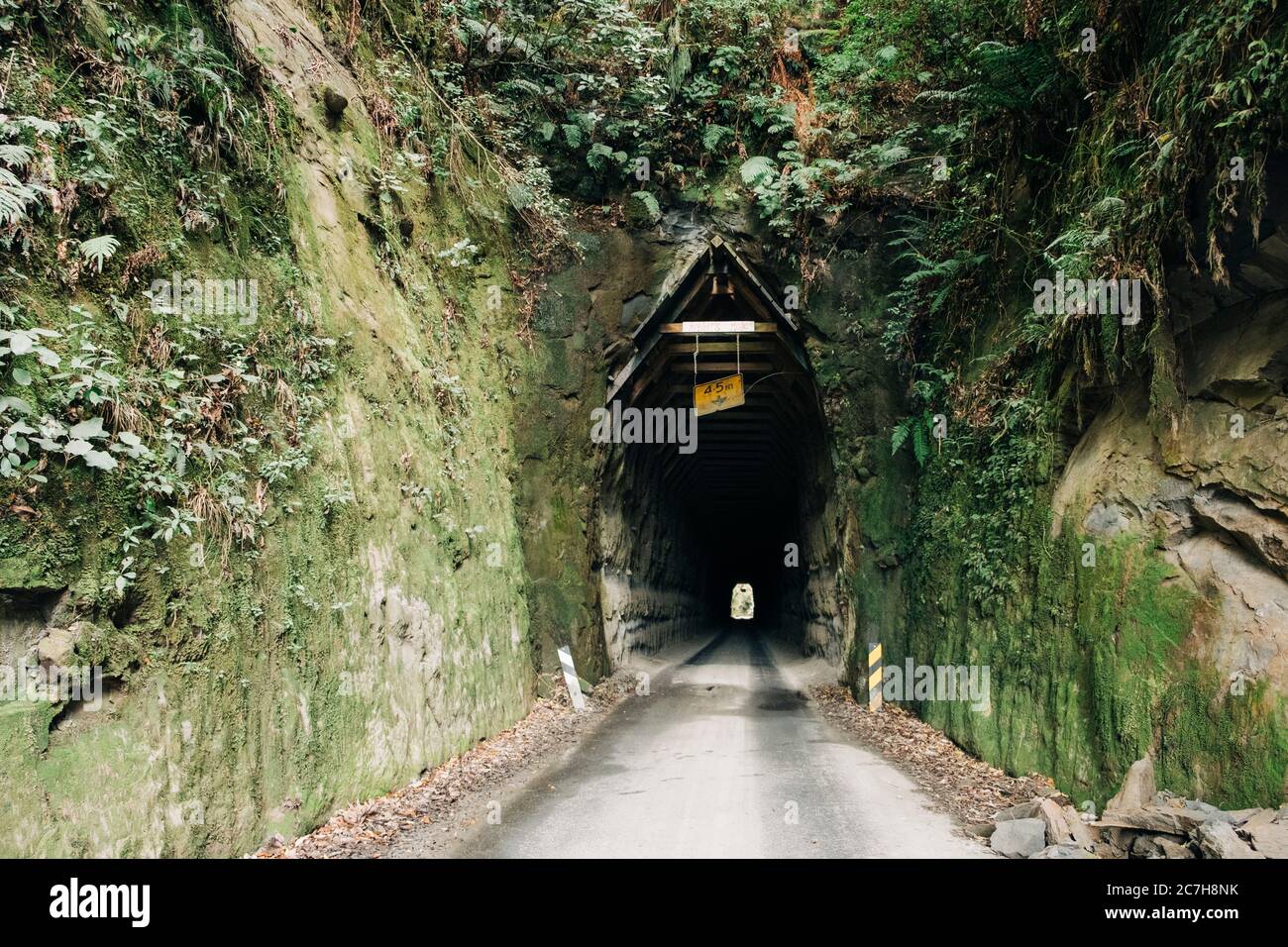 Road side entrance to small tunnel surrounded by greenery Stock Photo ...