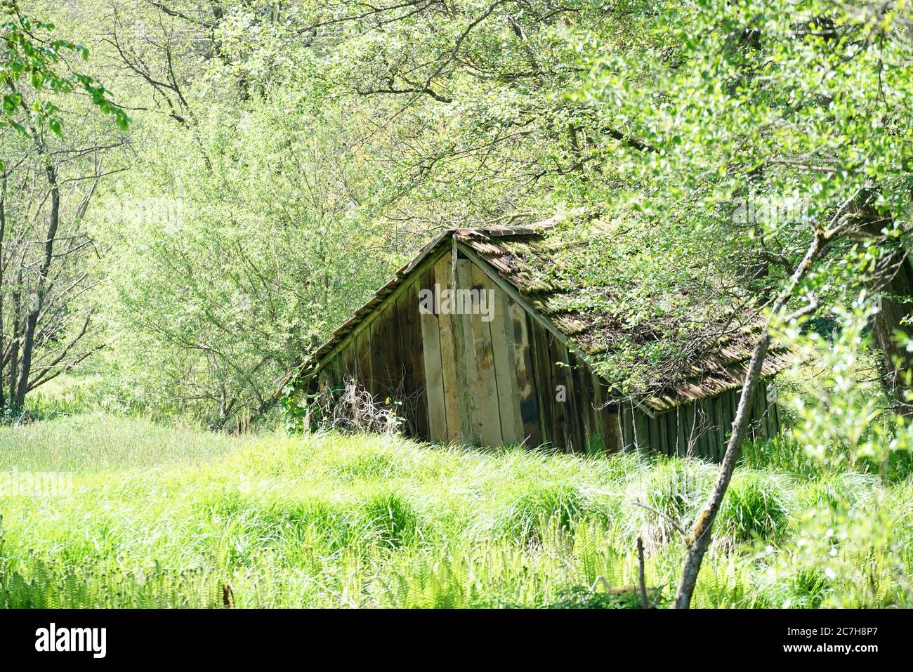 A wooden hut from a hunter and woodworker in the forest Stock Photo - Alamy