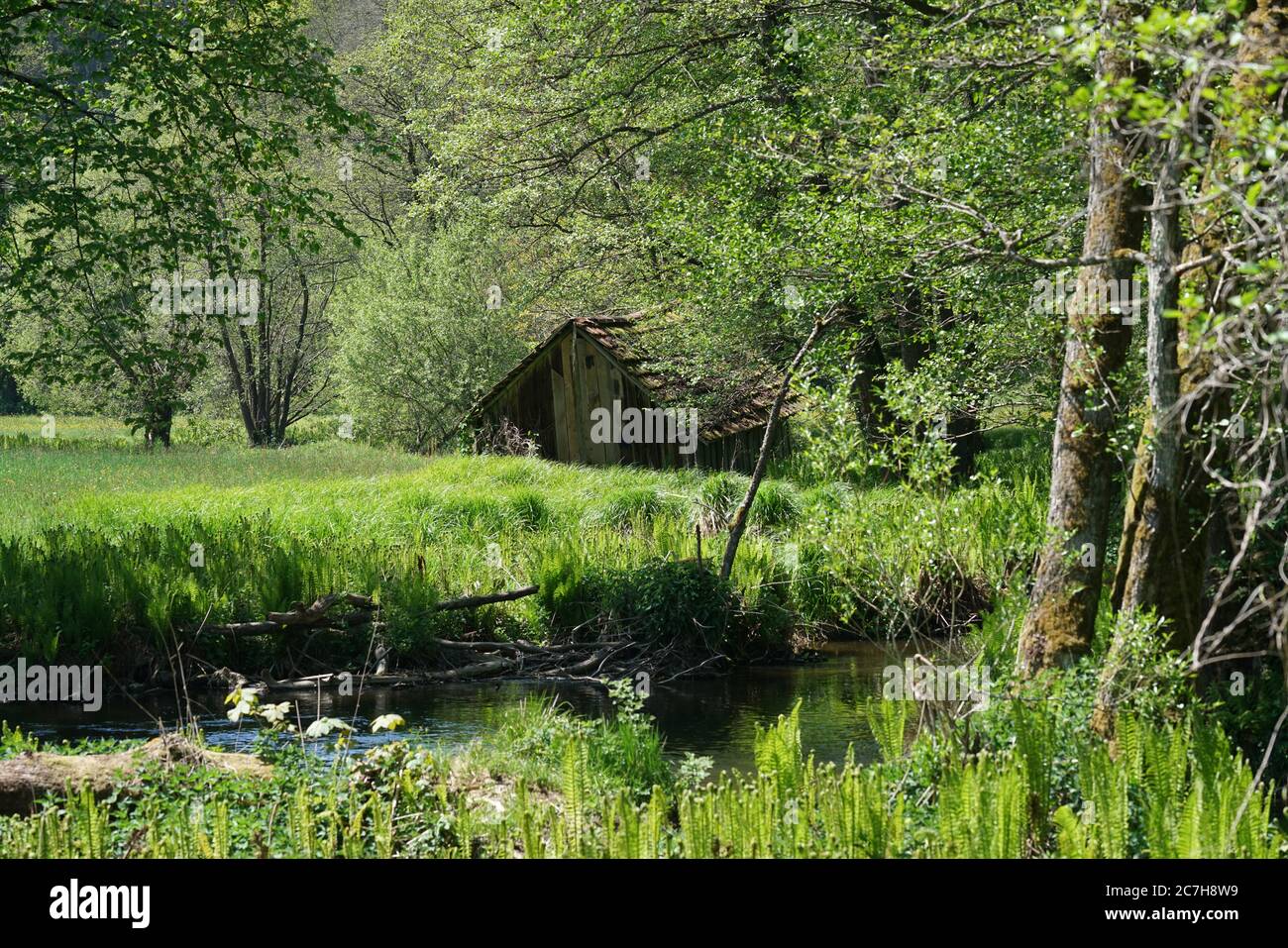 A wooden hut from a hunter and woodworker in the forest Stock Photo - Alamy