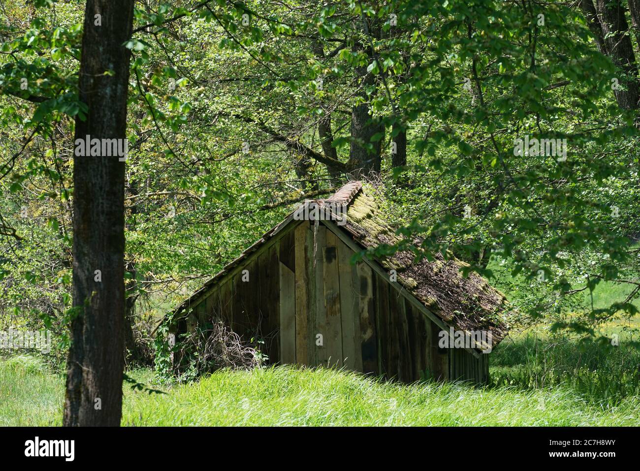 A wooden hut from a hunter and woodworker in the forest Stock Photo - Alamy