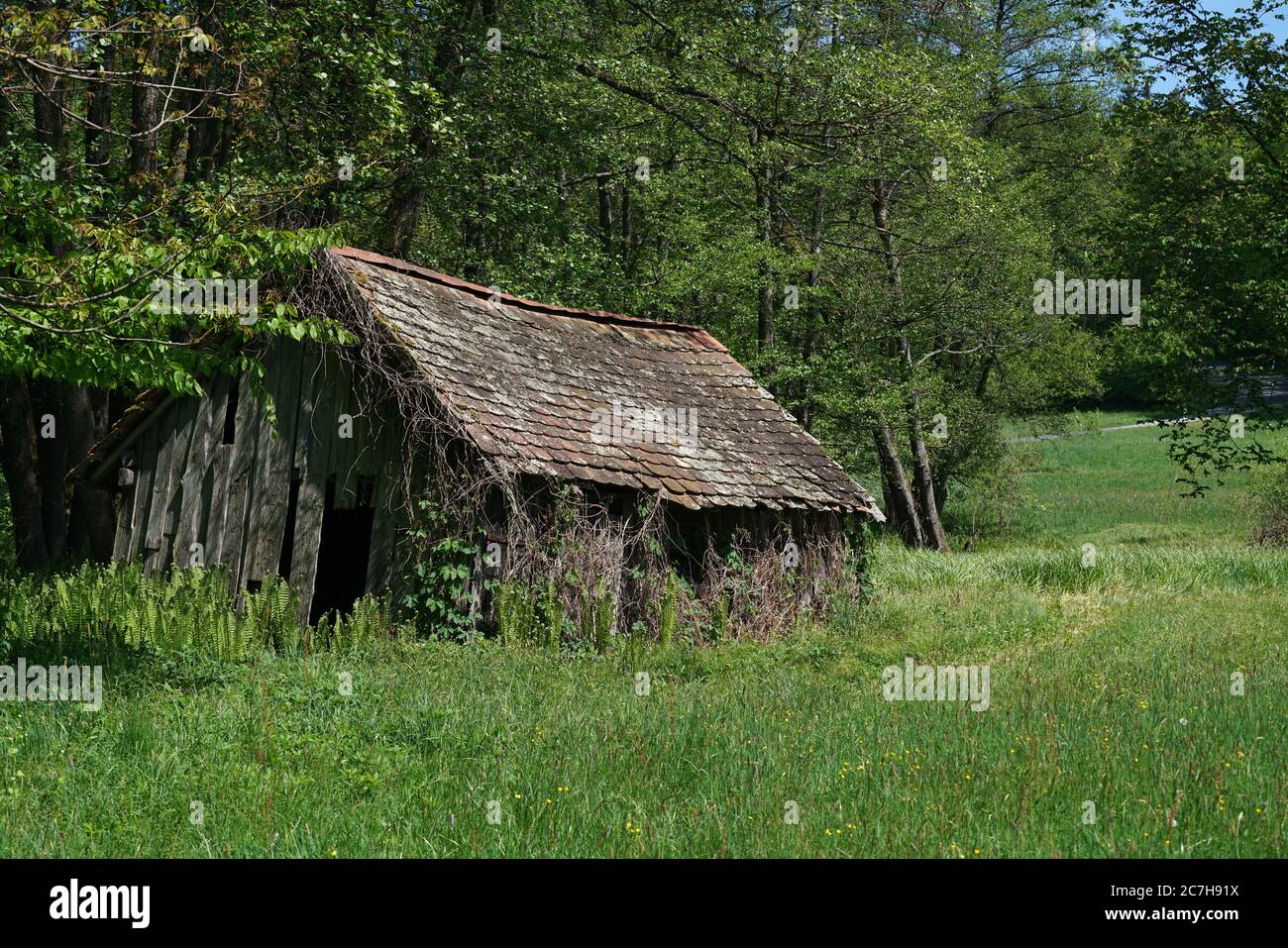 A wooden hut from a hunter and woodworker in the forest Stock Photo - Alamy