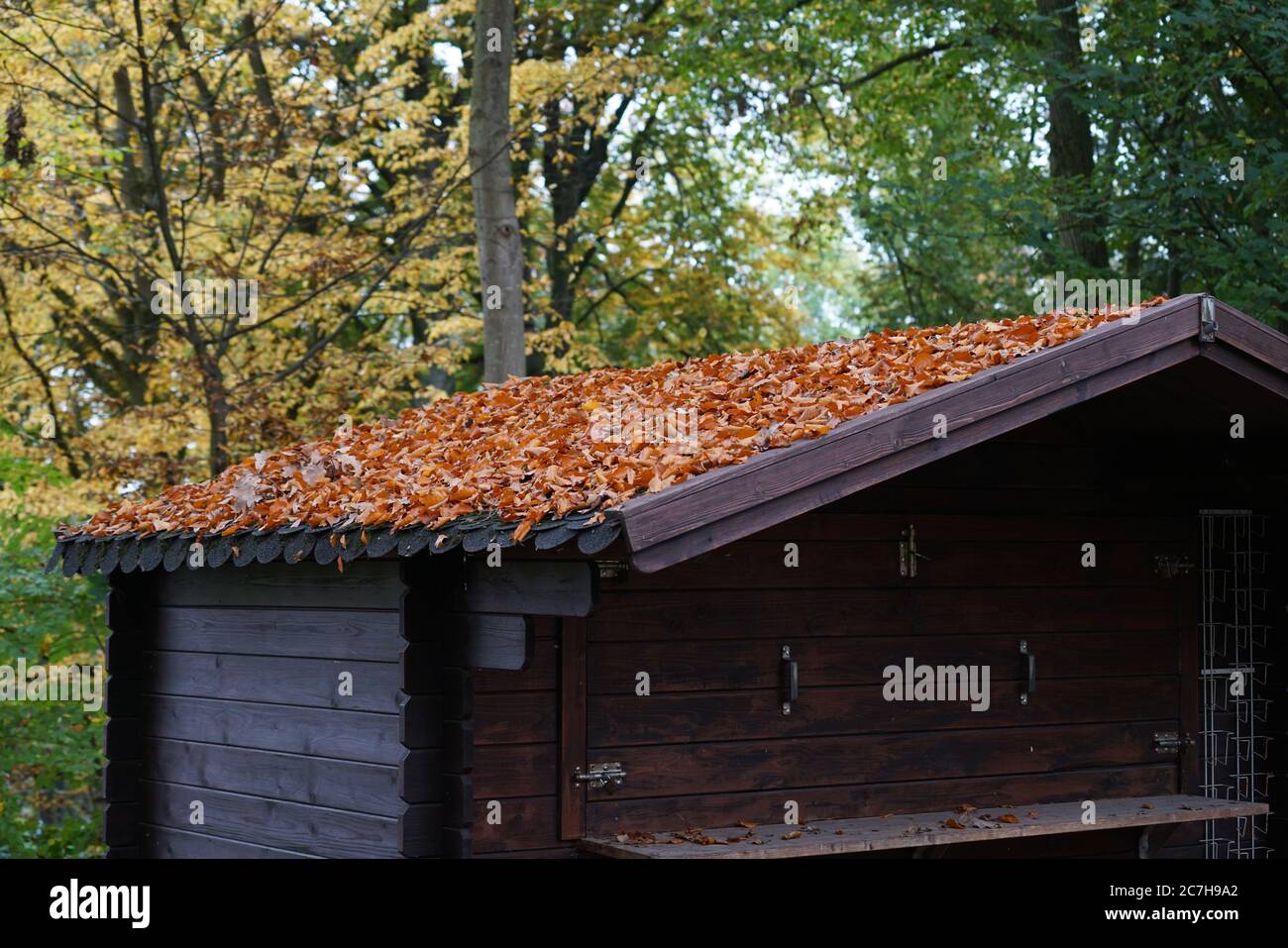A wooden hut from a hunter and woodworker in the forest Stock Photo - Alamy