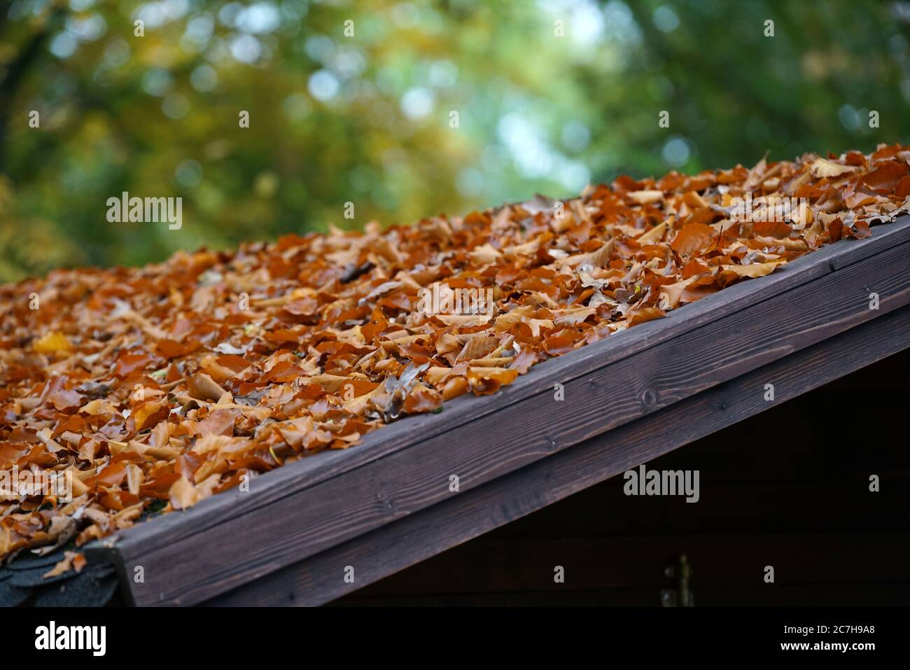 A wooden hut from a hunter and woodworker in the forest Stock Photo - Alamy