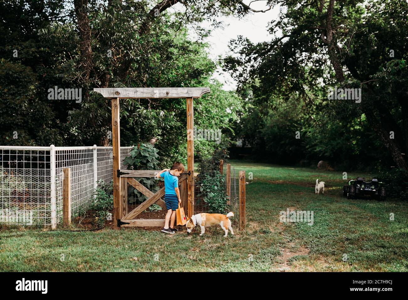 Young boy opening gate to back yard garden during summer Stock Photo ...