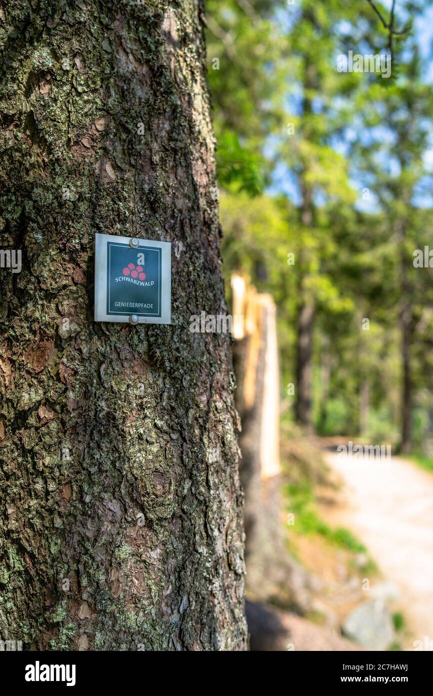 Europe, Germany, Baden-Wuerttemberg, Black Forest, path marking on a ...