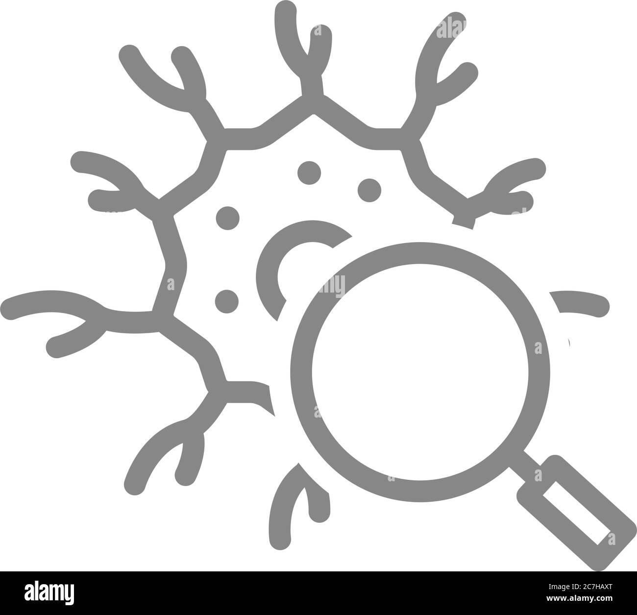Spinal cord labeled diagram hi-res stock photography and images - Alamy
