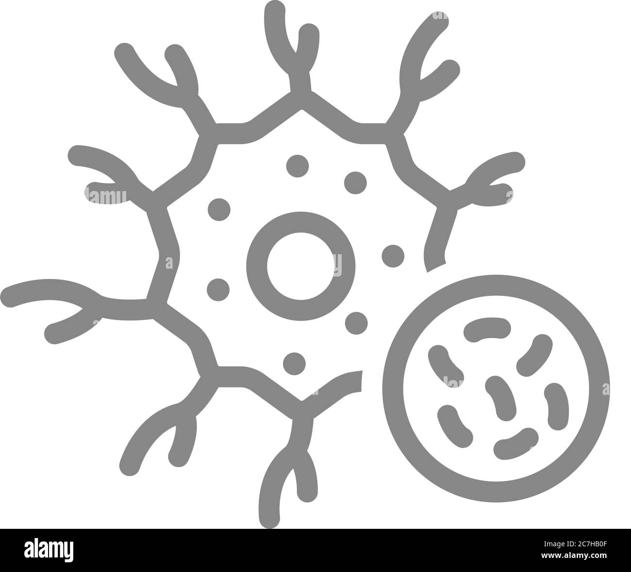 Nerve cell with bacteria line icon. Disease neuron, infectious neural ...