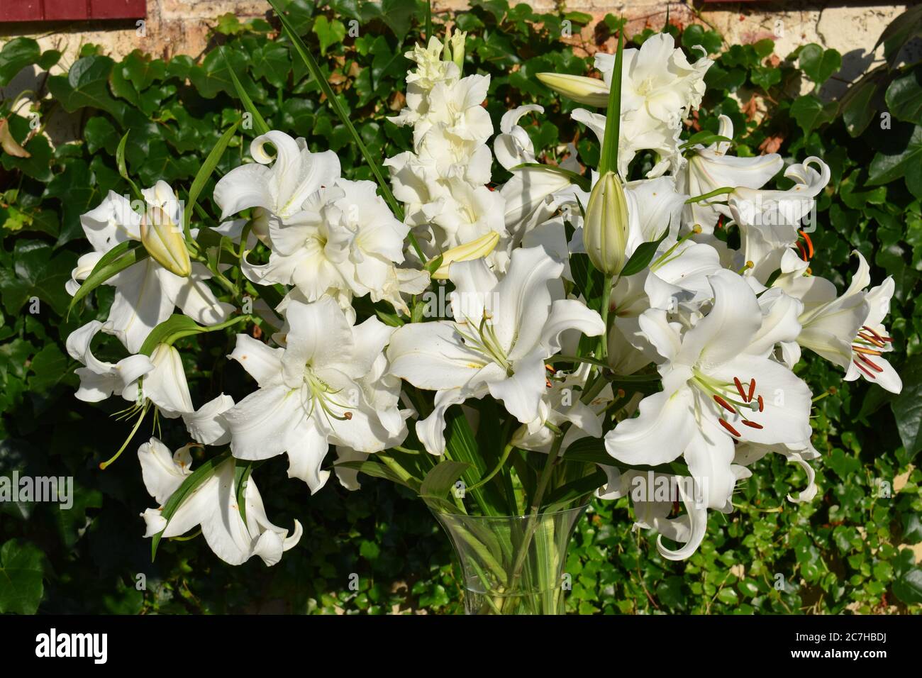 Bouquet de lys blanc Stock Photo - Alamy