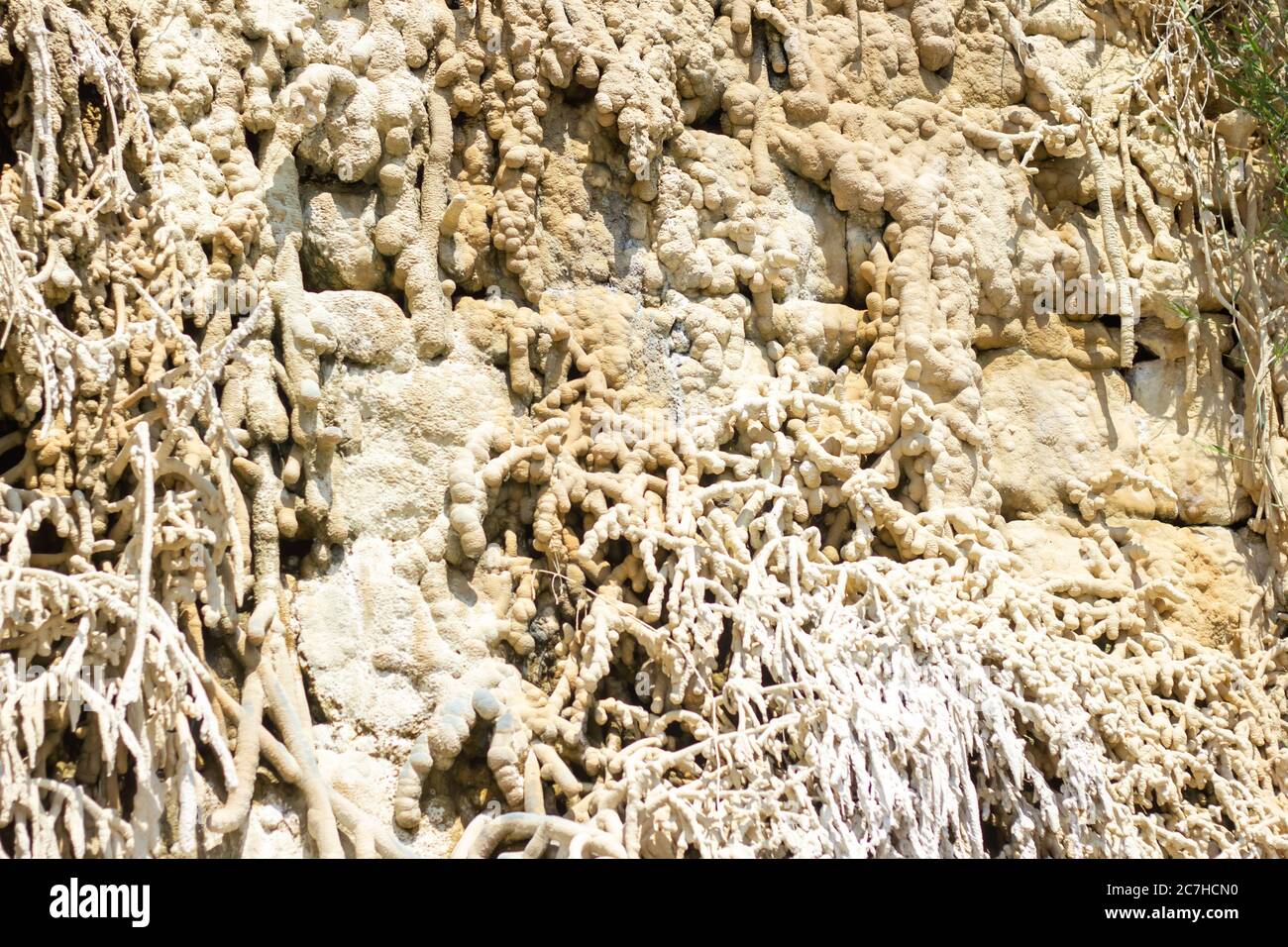 Cave moss close up hi-res stock photography and images - Alamy