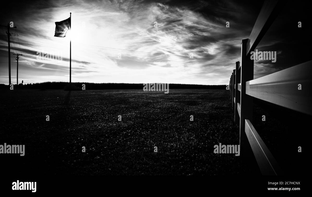Breathtaking greyscale shot of a sunrise over a field on the ...