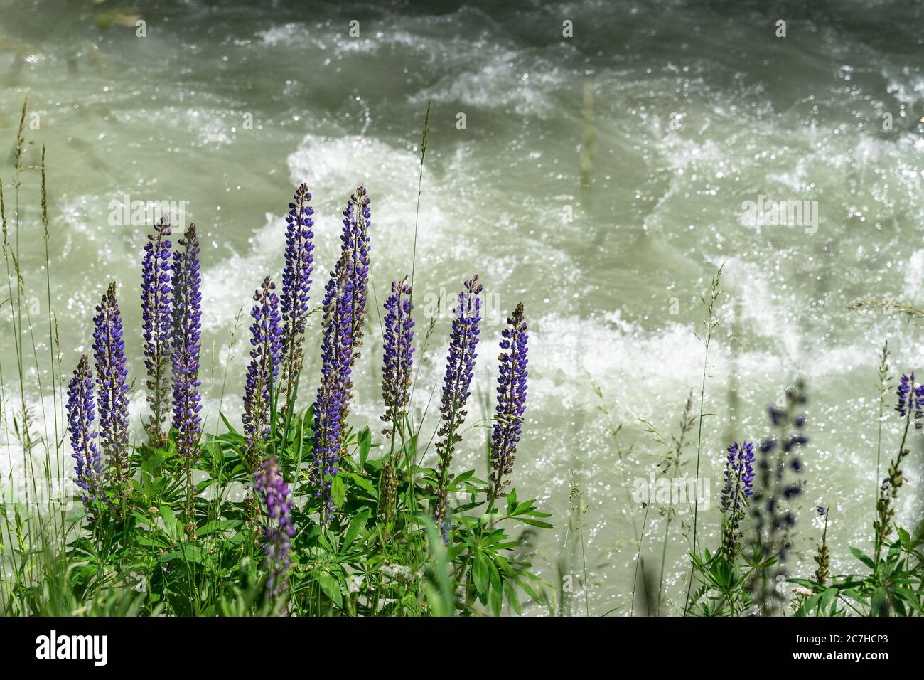 Flora fischbach hi-res stock photography and images - Alamy