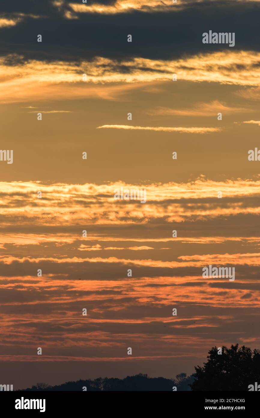 Sumac tree silhouette swaying hi-res stock photography and images - Alamy