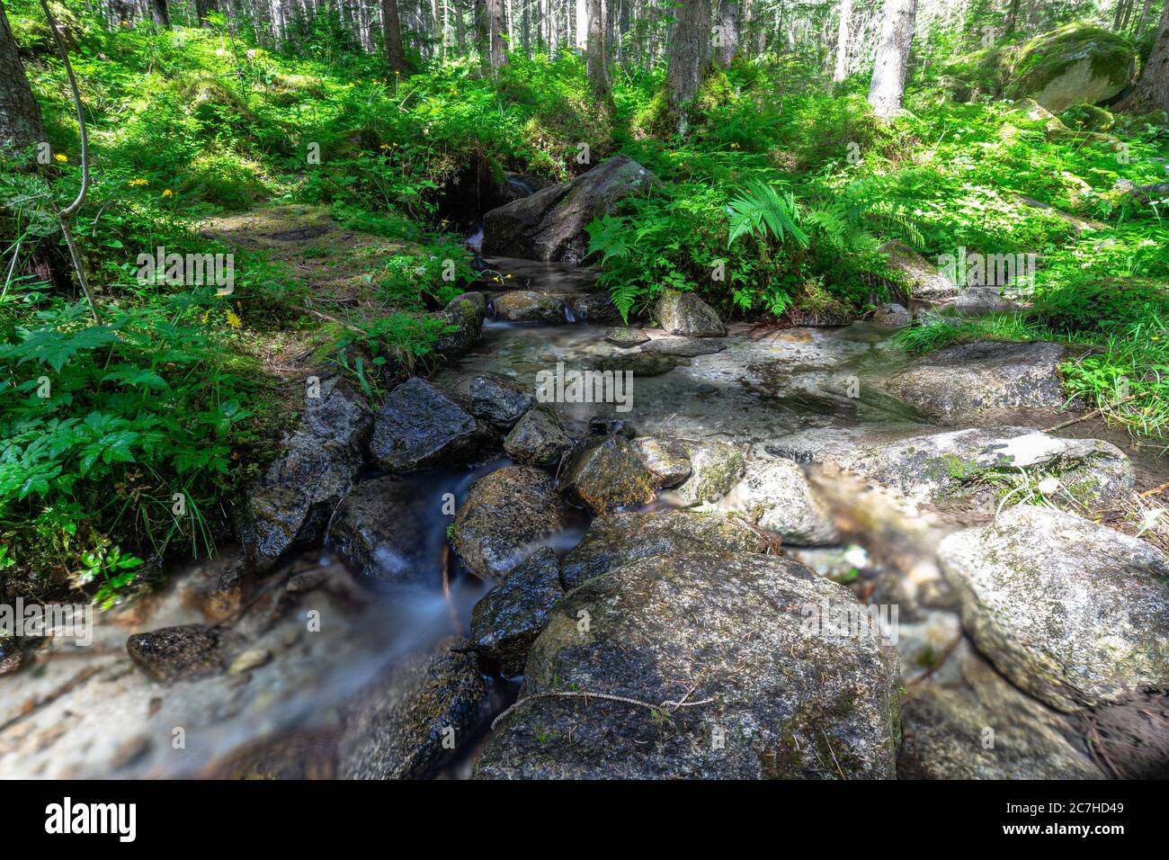 Stream idyllic hi-res stock photography and images - Alamy