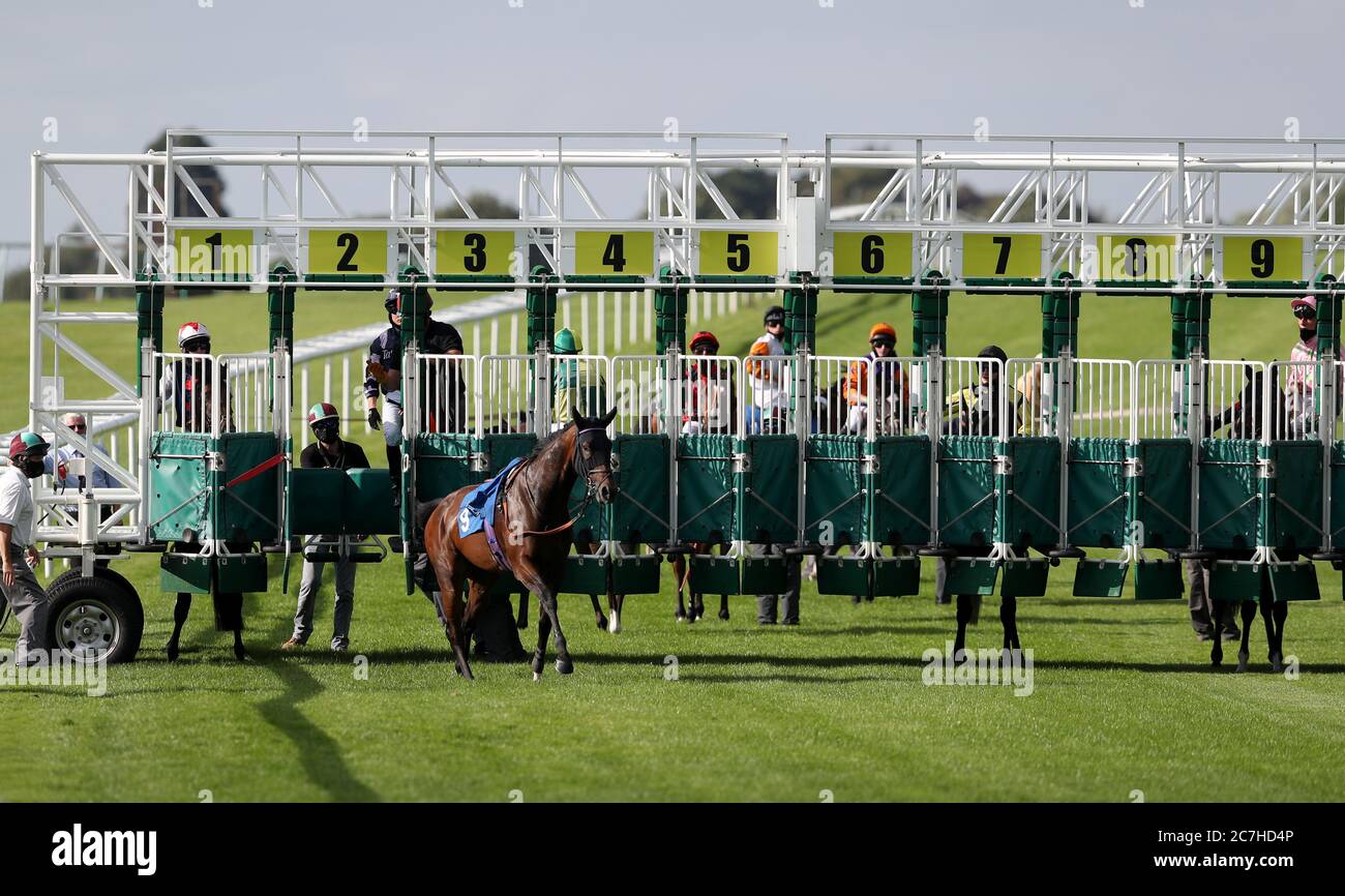 Pretty Pickle is released from the stalls prior to the start of The ...