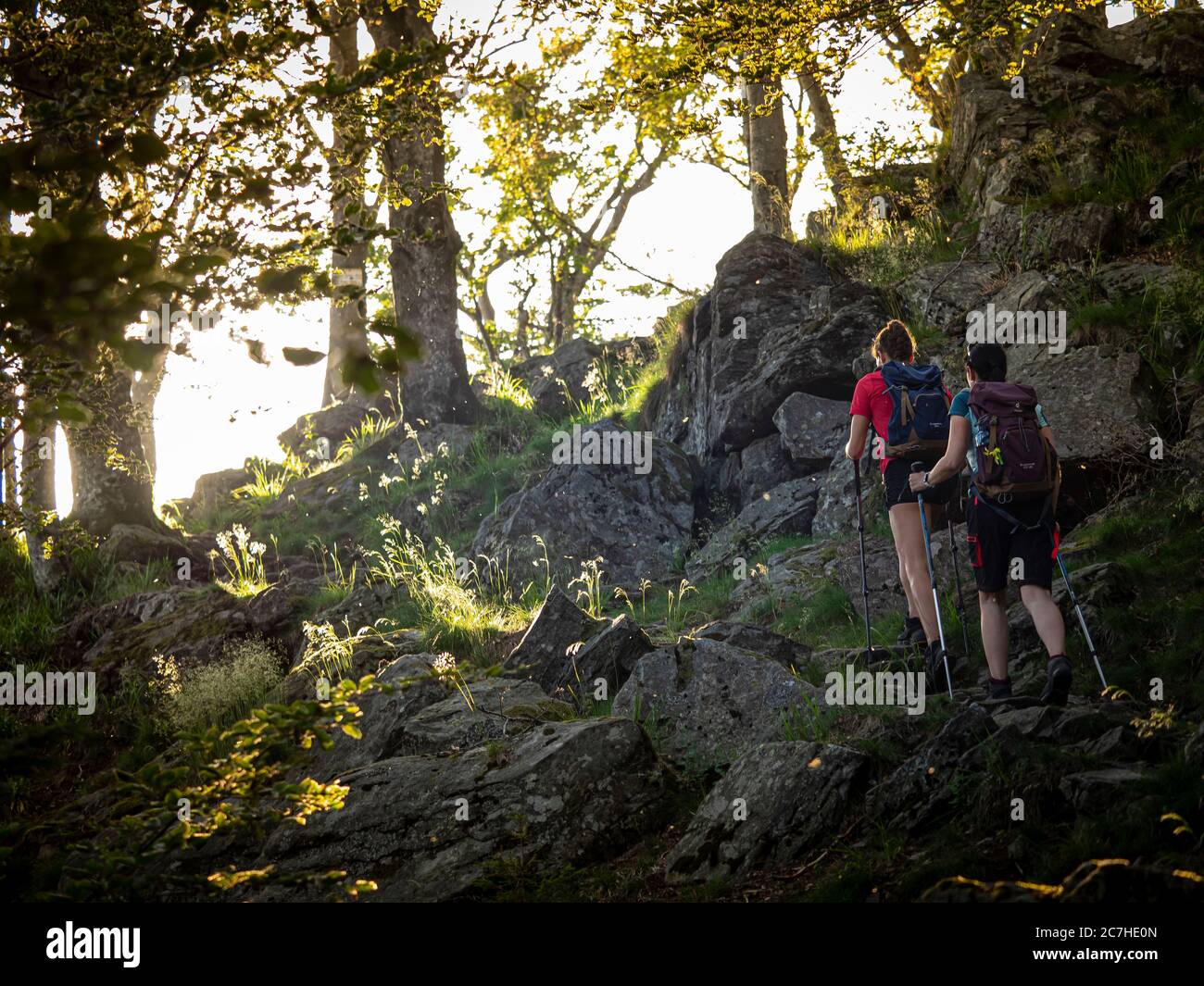 Hiking on the Zweälersteig, narrow hiking trail at the Thomashütte ...