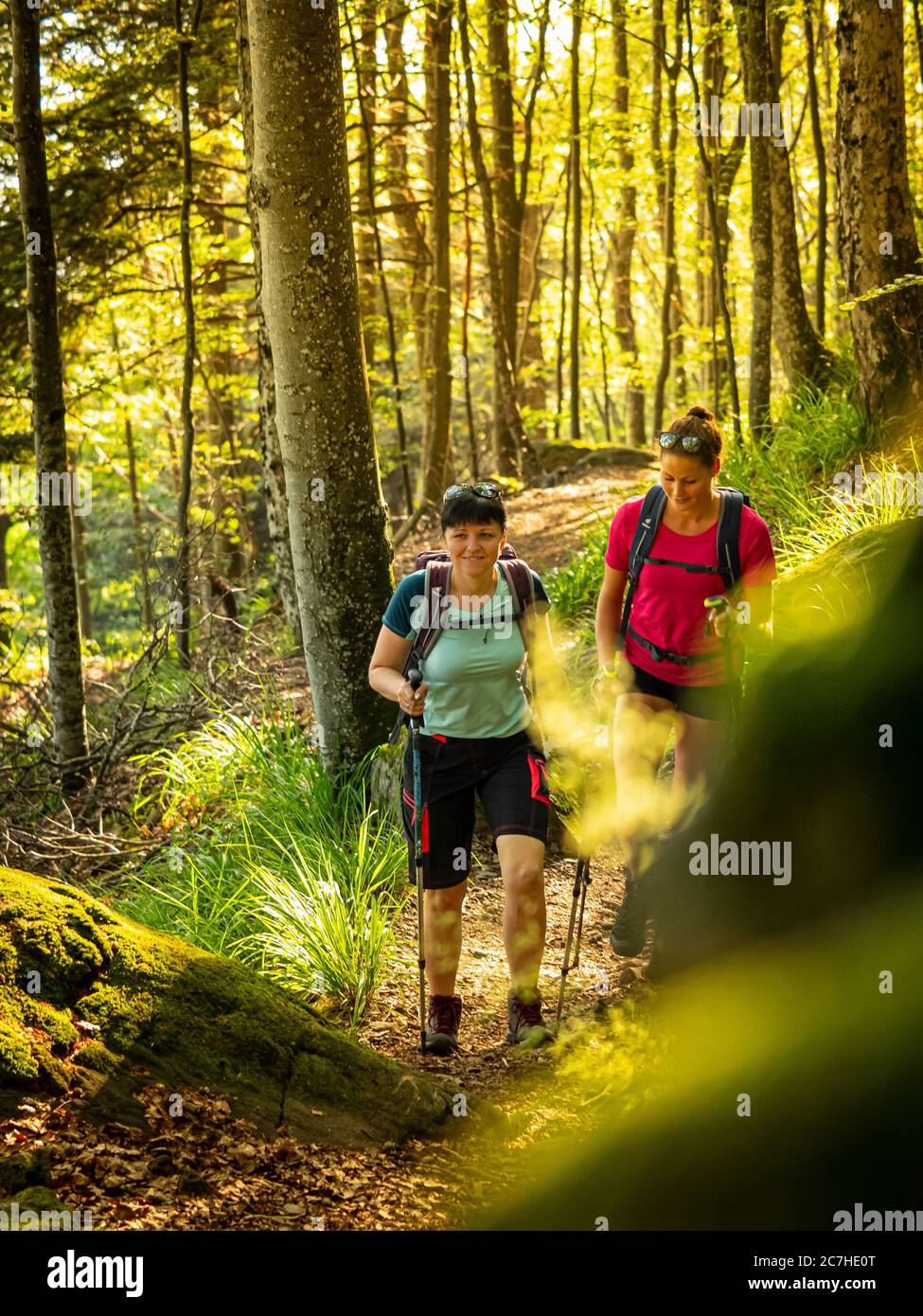 Hiking on the Zweälersteig, narrow hiking trail at the Thomashütte ...