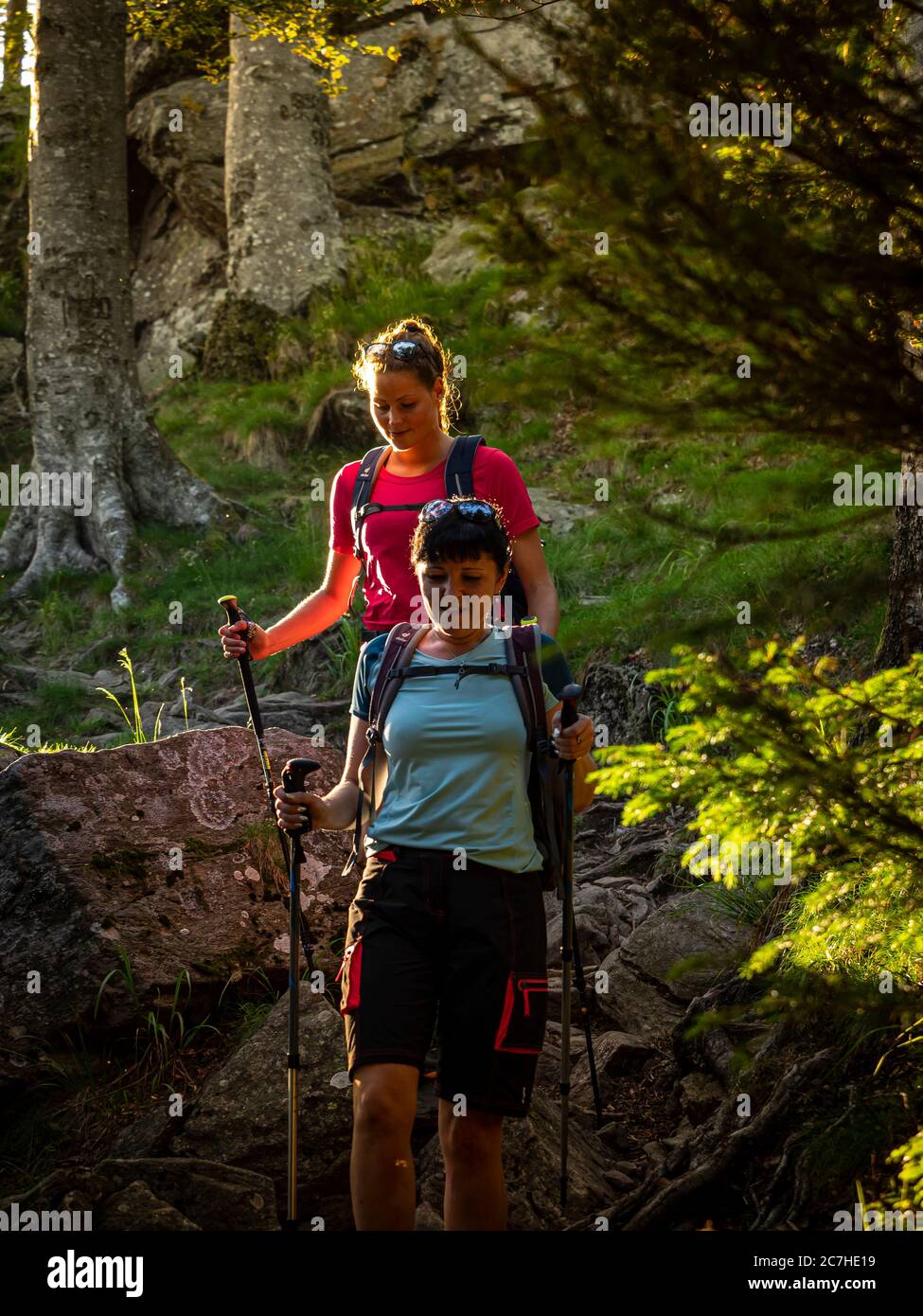 Hiking on the Zweälersteig, narrow hiking trail at the Thomashütte ...