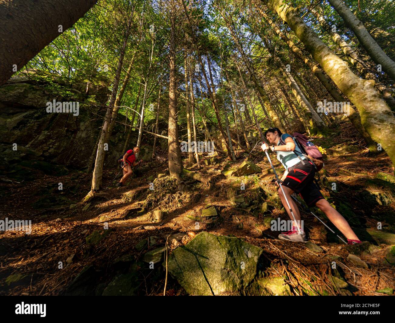 Hiking on the Zweälersteig, narrow hiking trail at the Thomashütte ...