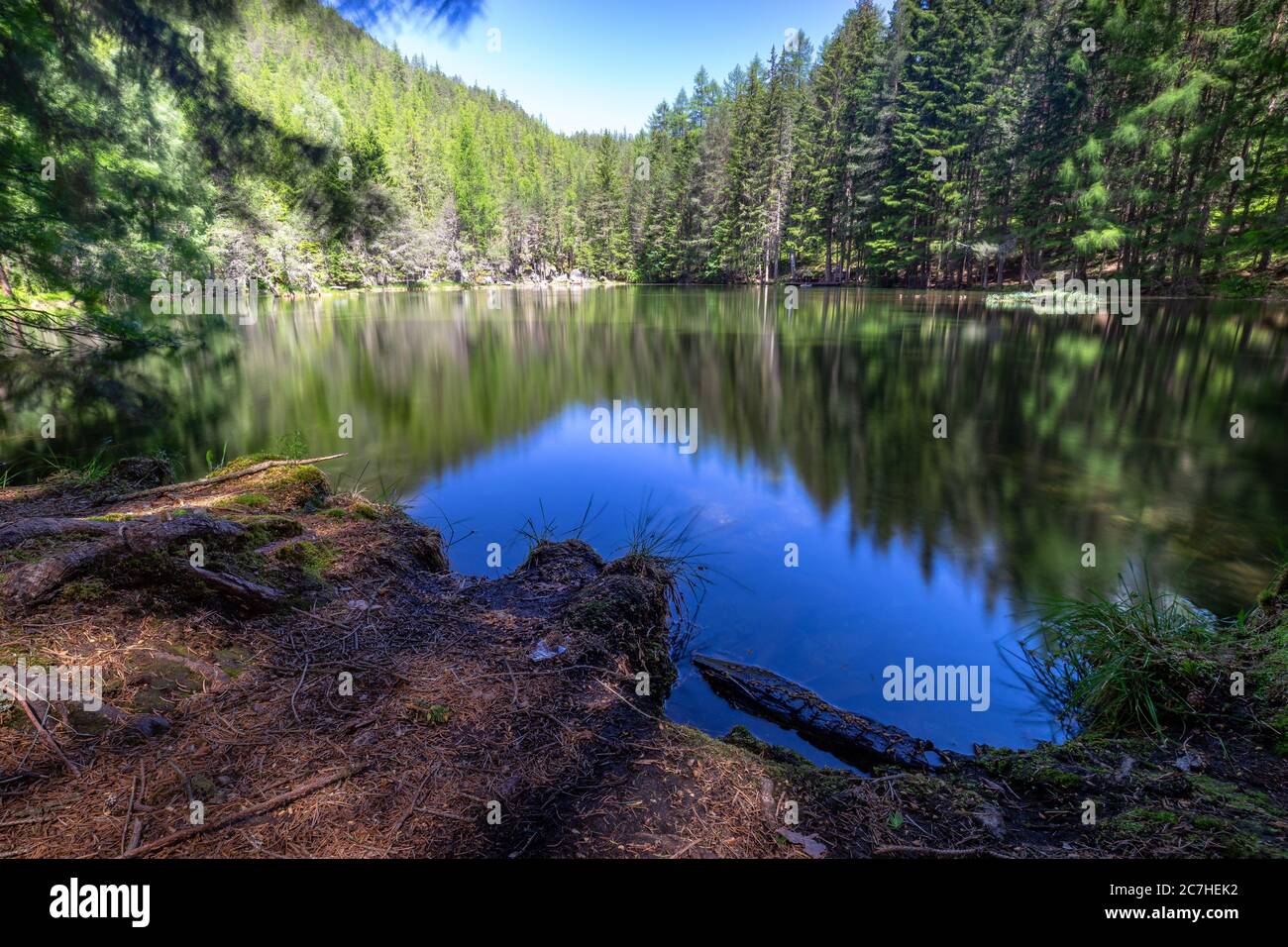 Woodland idyll hi-res stock photography and images - Alamy