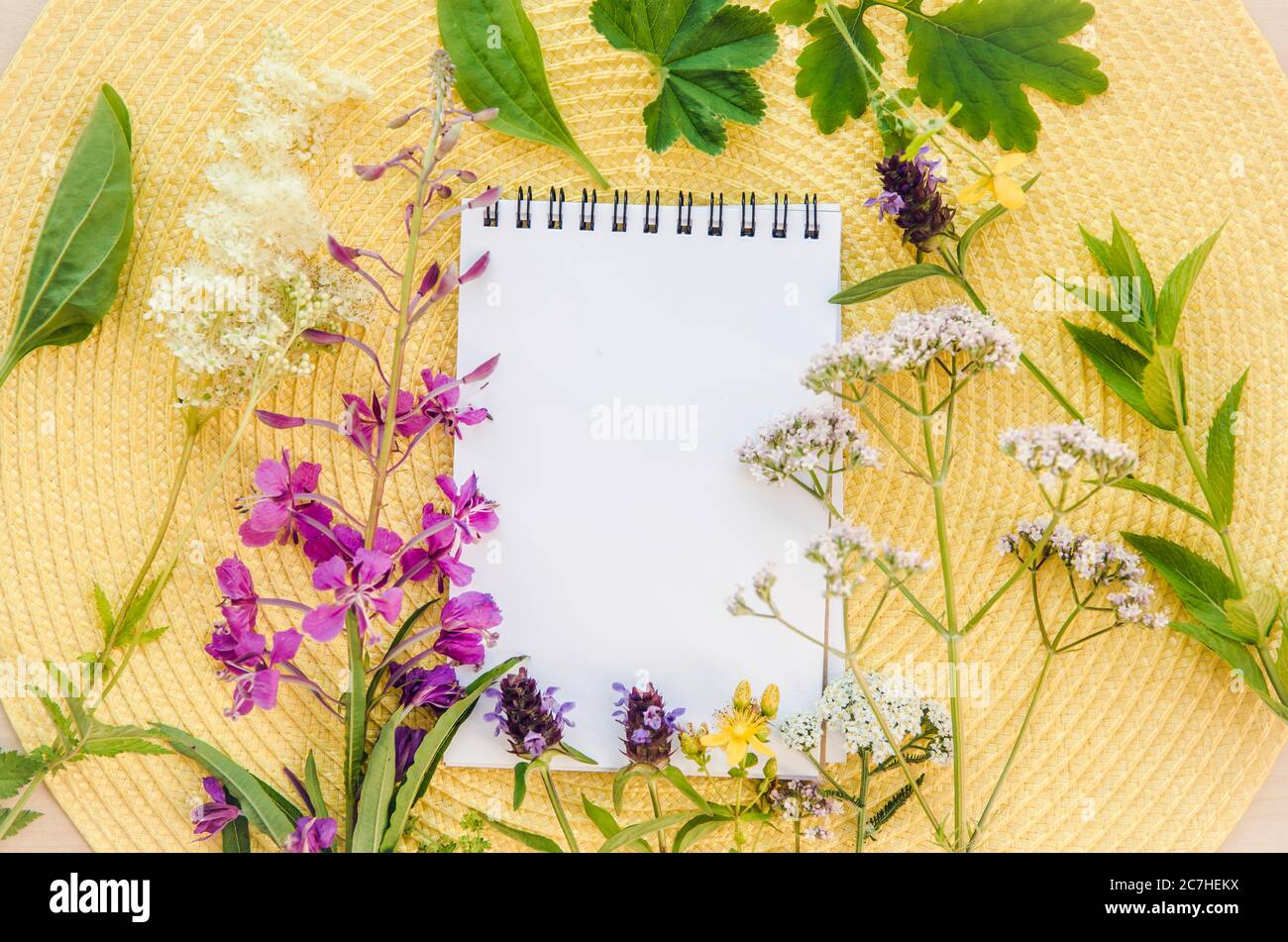 Flat lay top view of empty textbook hi-res stock photography and images ...