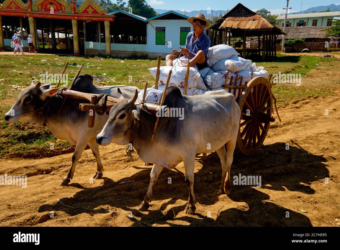 Driving ox cart hi-res stock photography and images - Alamy