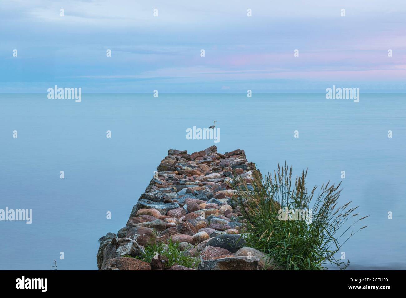 Breakwater reaching to calm sea with stork standing in water Stock ...