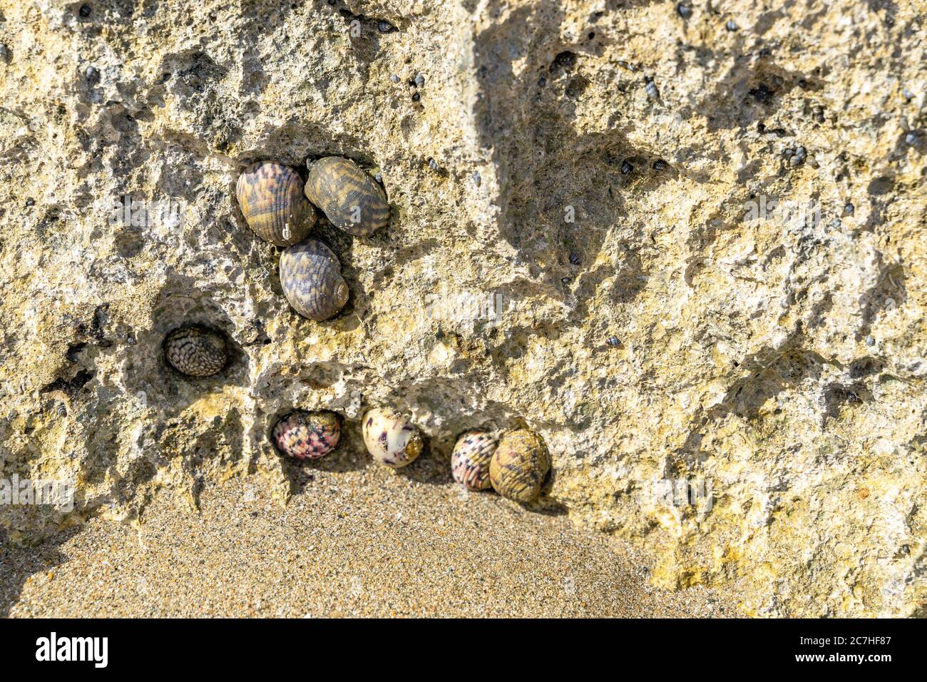 America, Caribbean, Greater Antilles, Dominican Republic, Cabarete ...