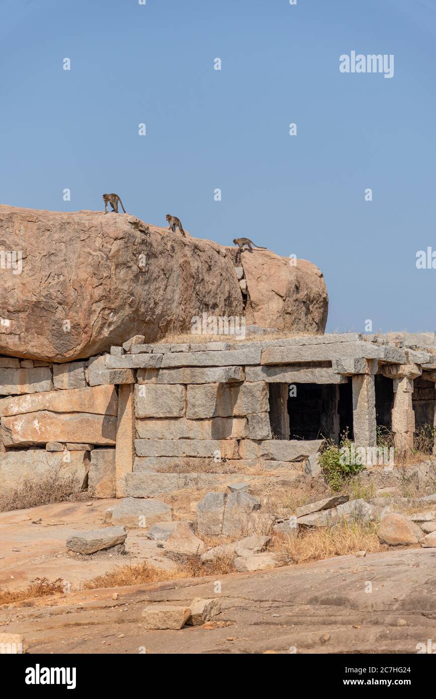 Ruin in dry rocky landscape with monkeys Stock Photo - Alamy