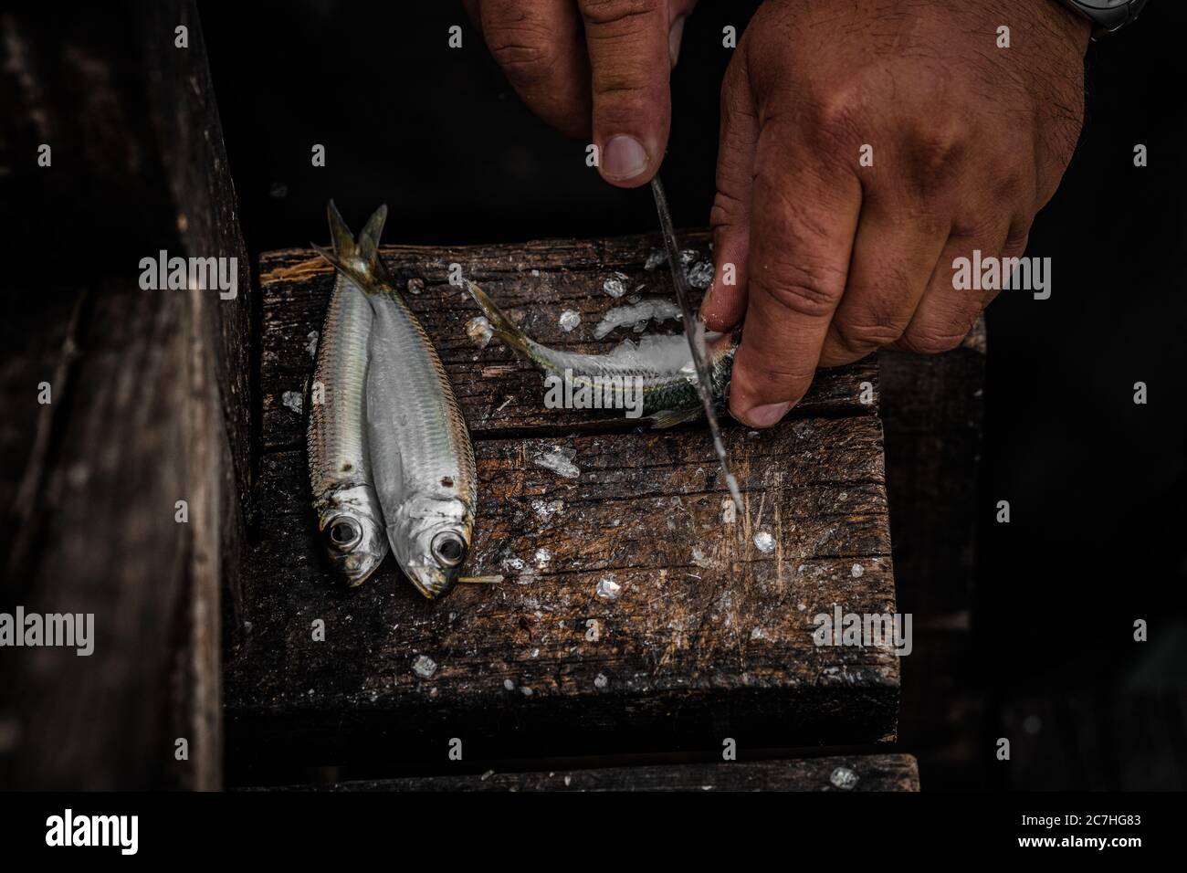 Structure of a fish scale hi-res stock photography and images - Alamy